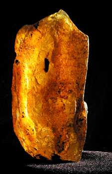 Origen del ámbar | Museo del ámbar de Chiapas, México – San Cristóbal L.C.